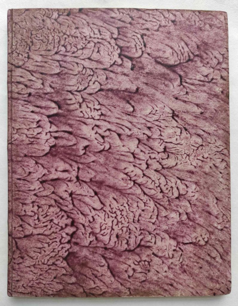 Johann von Staupitz, Martin Luthers Beichtvater- www.muellerbooks.com